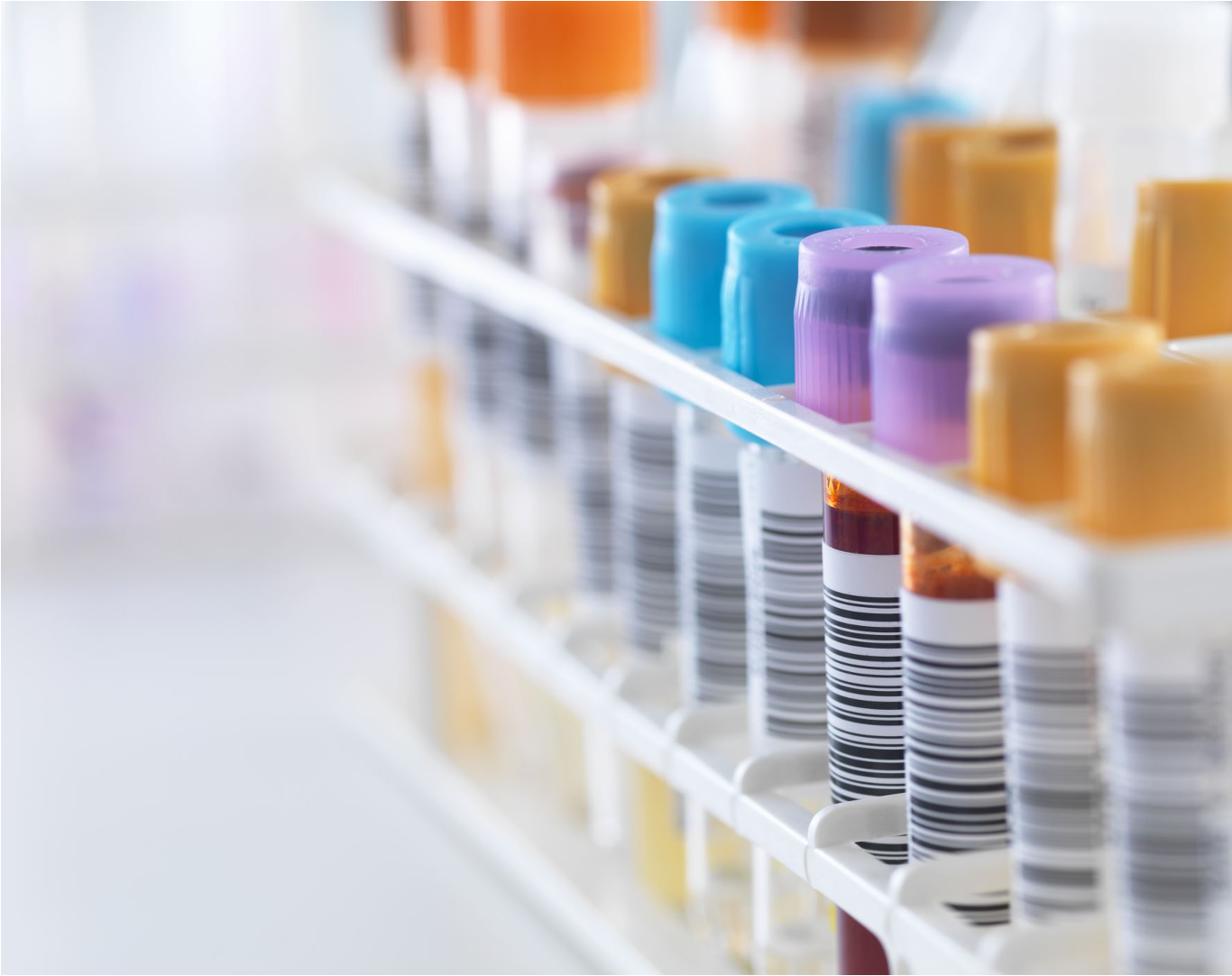 Cardiac biochemistry - case 12 tutorial