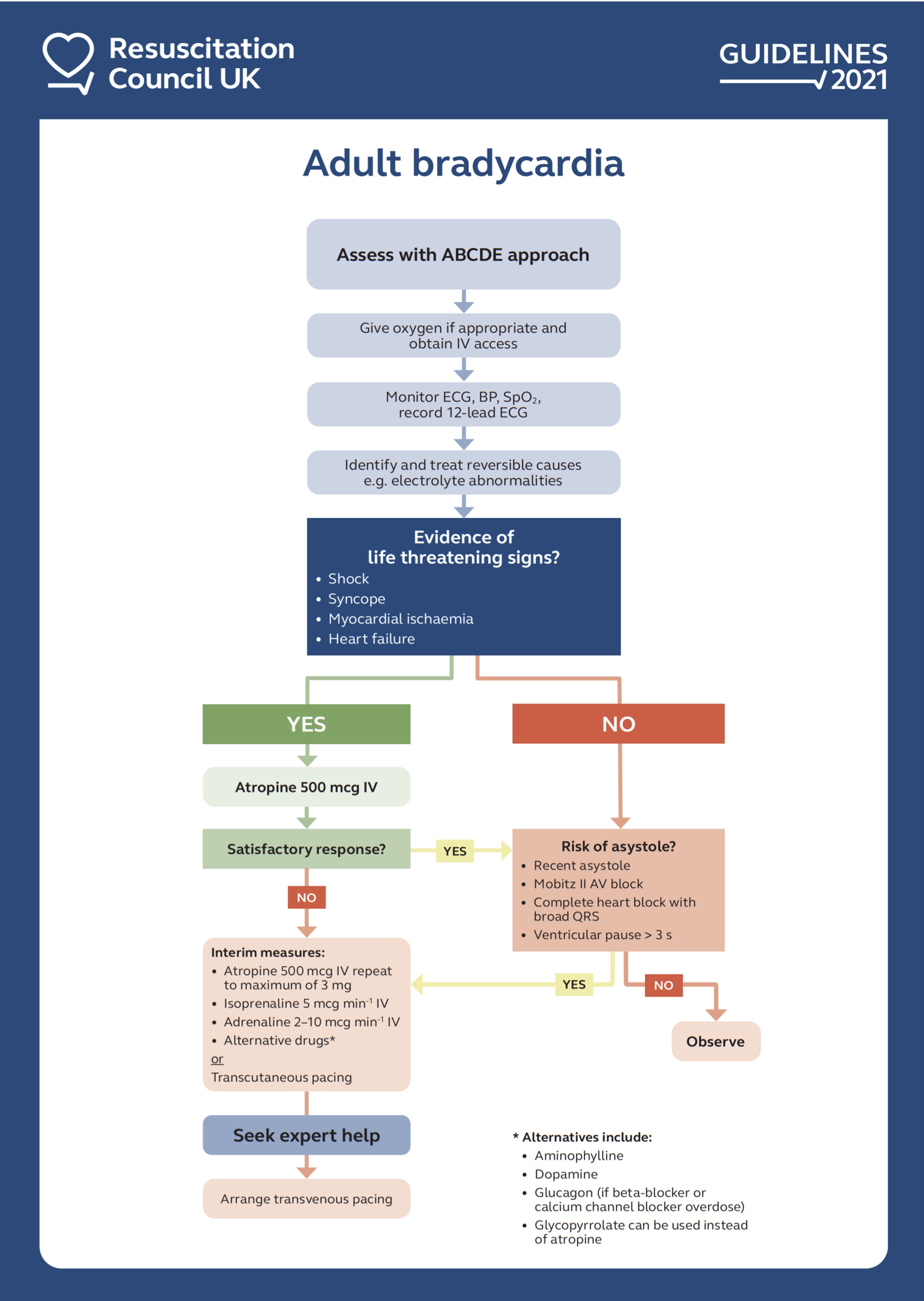 ACLS Bradycardia Algorithm ACLS Medical Training 58 OFF