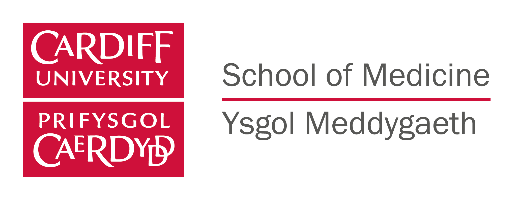 Medical Education: Getting Started