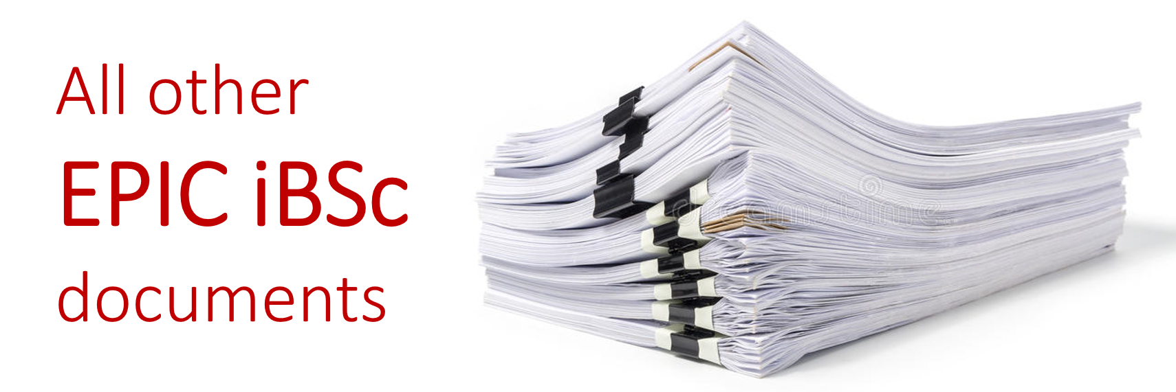 EPIC iBSc Portal