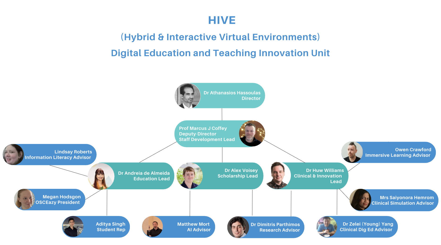 HIVE Teaching Innovation Unit